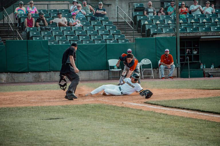 Our Team – New Britain Bees