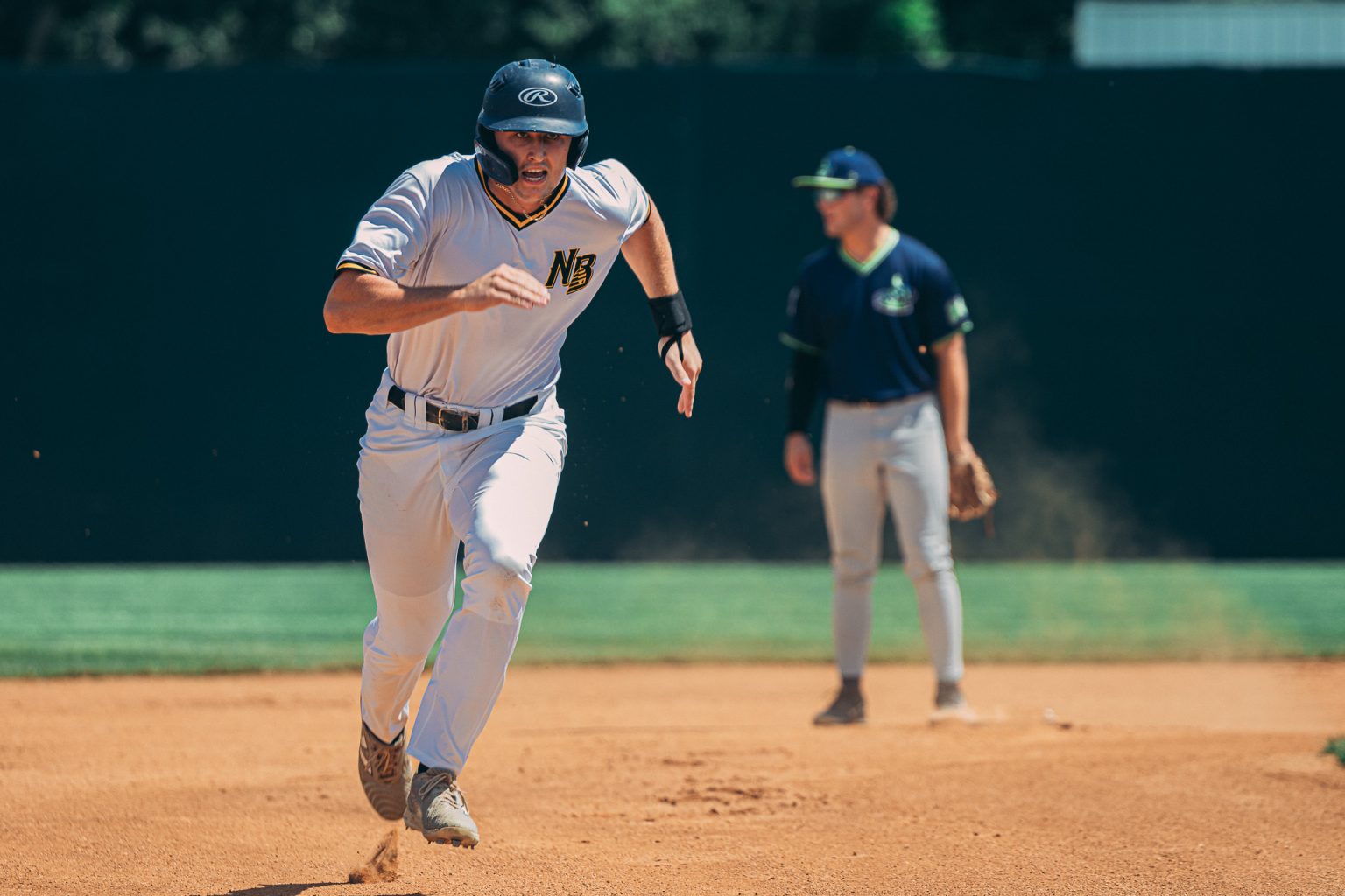 2025 – New Britain Bees