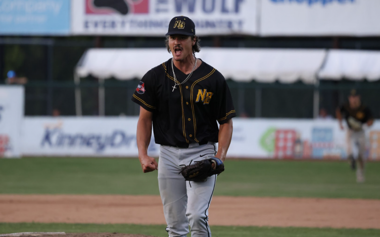 2025 – New Britain Bees