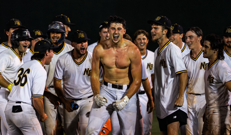 2025 – New Britain Bees